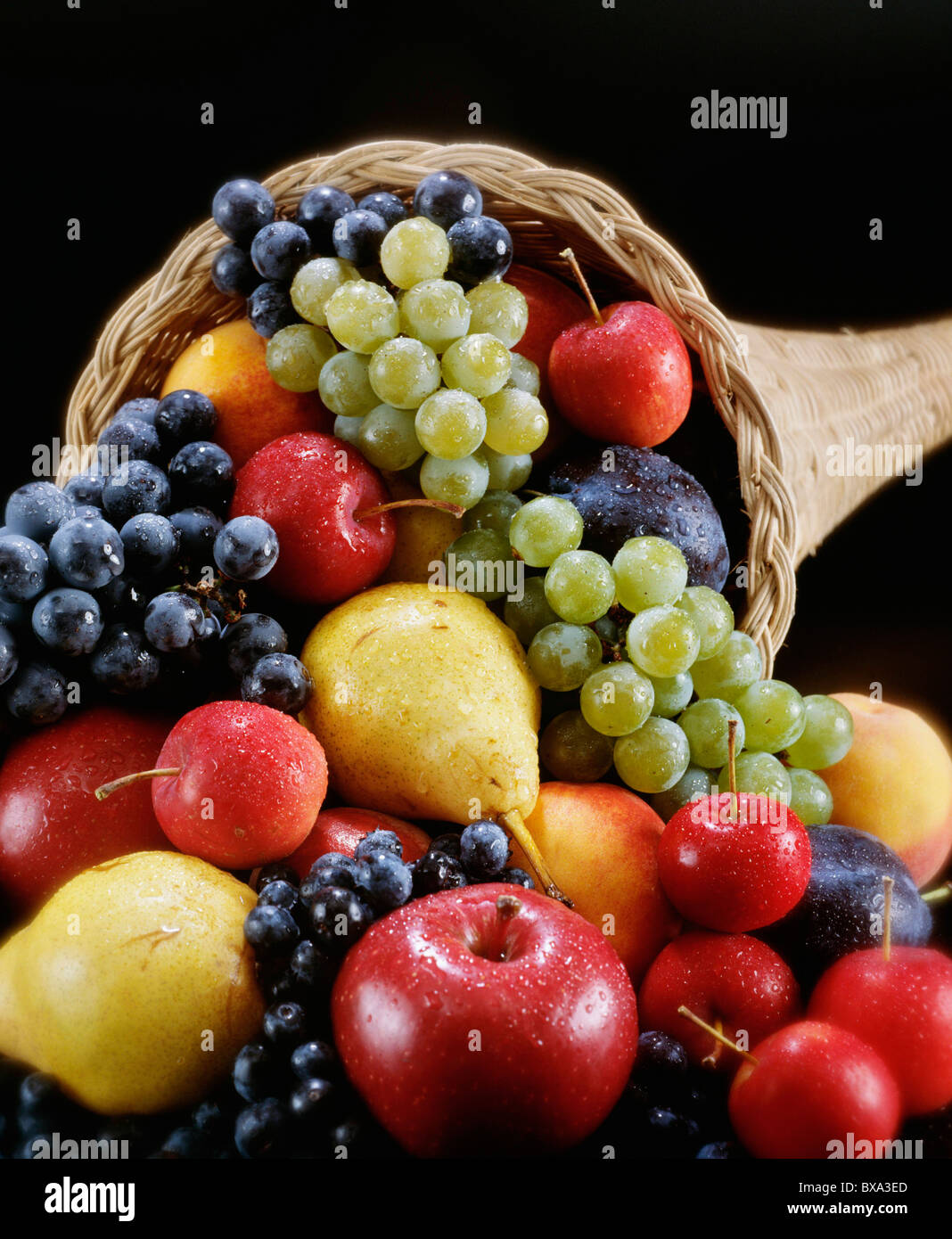 MIXED FRUIT: CONCORD AND THOMPSON GRAPES, CRABAPPLES, DELICIOUS APPLES ...