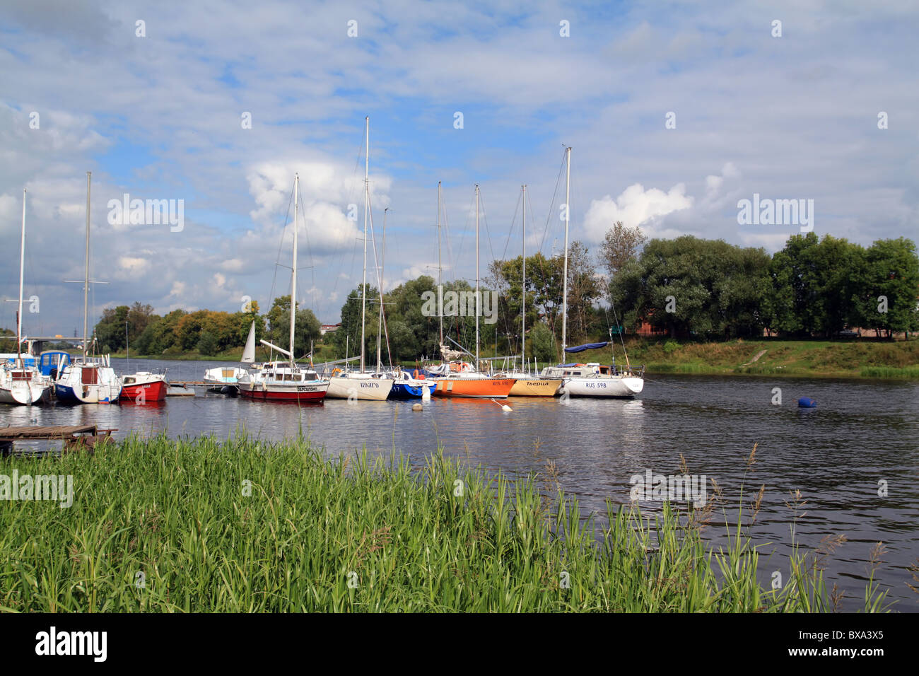 Sailfish surface hi-res stock photography and images - Alamy