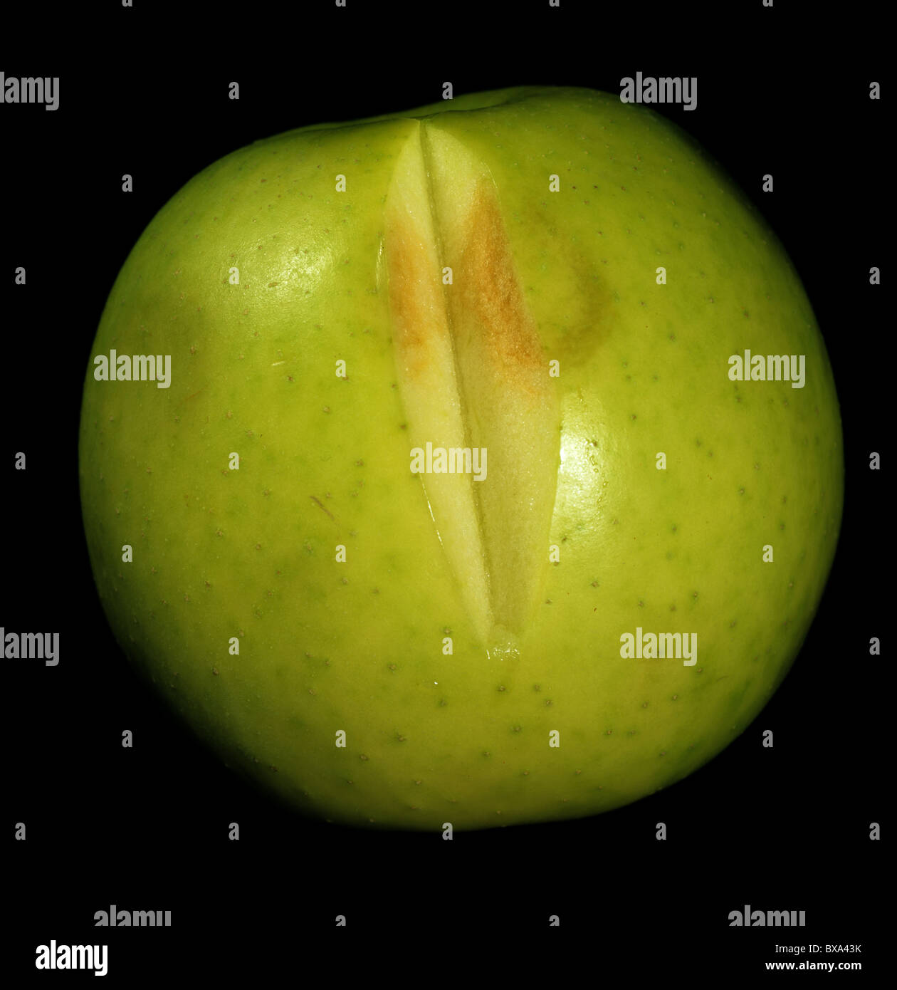 Section taken from an apple to show bruising on surface and internal ...