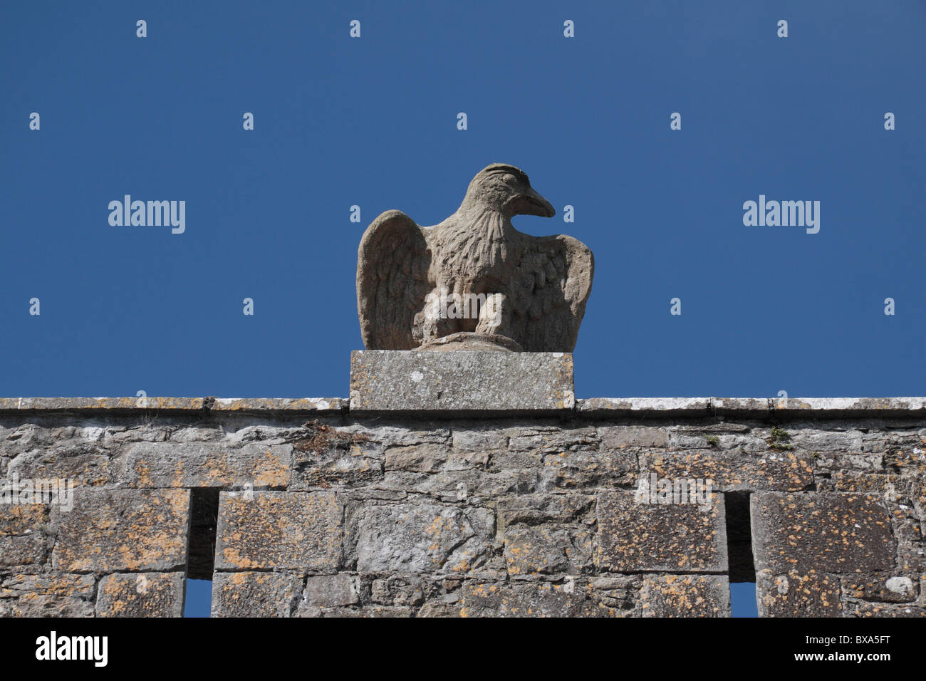 Thief Gargoyle Phoenix