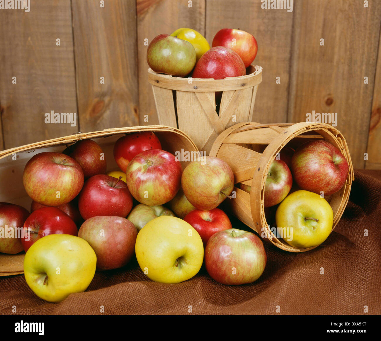 APPLES: GOLDEN DELICIOUS, ROME, WINESAP, JONATHAN, MACINTOSH / STUDIO ...