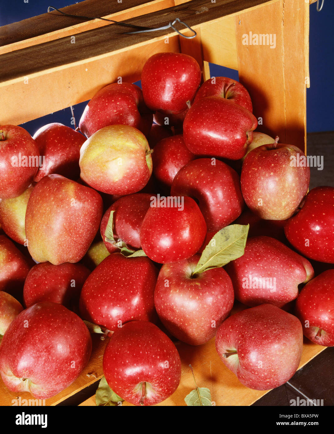 YORK IMPERIAL APPLES STUDIO Stock Photo - Alamy
