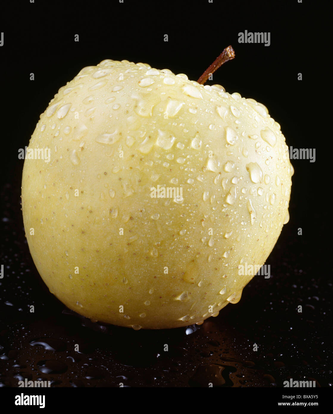 GOLDEN DELICIOUS / STUDIO Stock Photo - Alamy