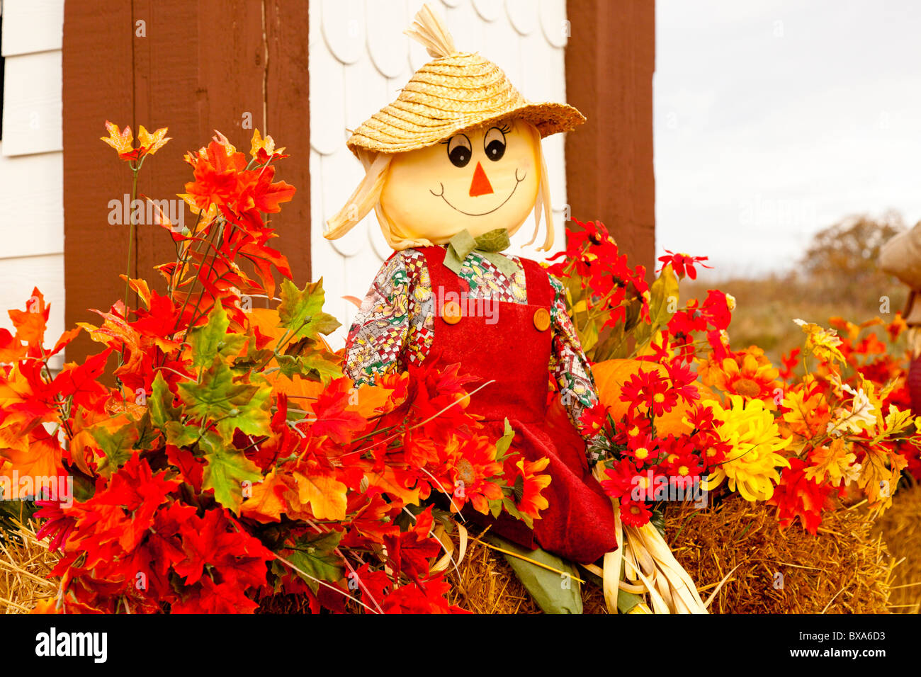 A display of fall decor with scarecrows, pumpkins, flowers and corn ...