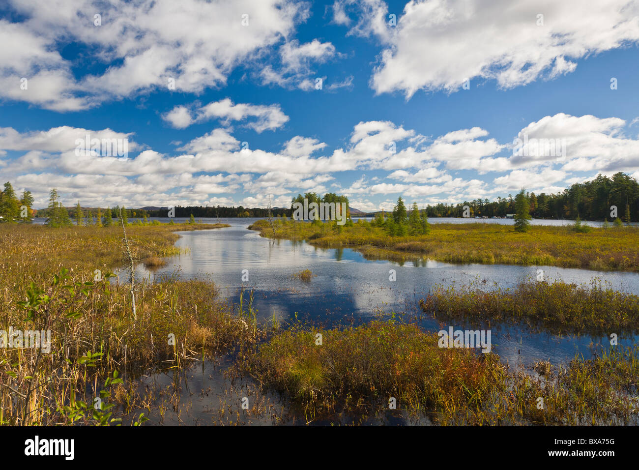 Raquette Lake inlet in the Adirondack Mountains State Park in New York ...
