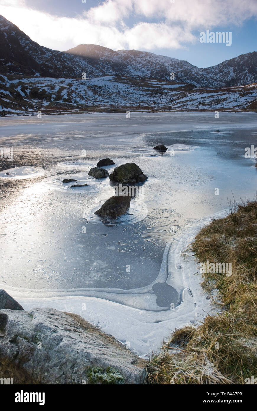 Sty head hi-res stock photography and images - Alamy