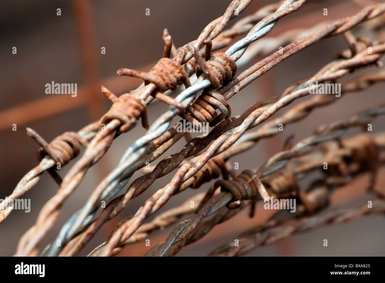 Danger barbed wire sign hi-res stock photography and images - Alamy