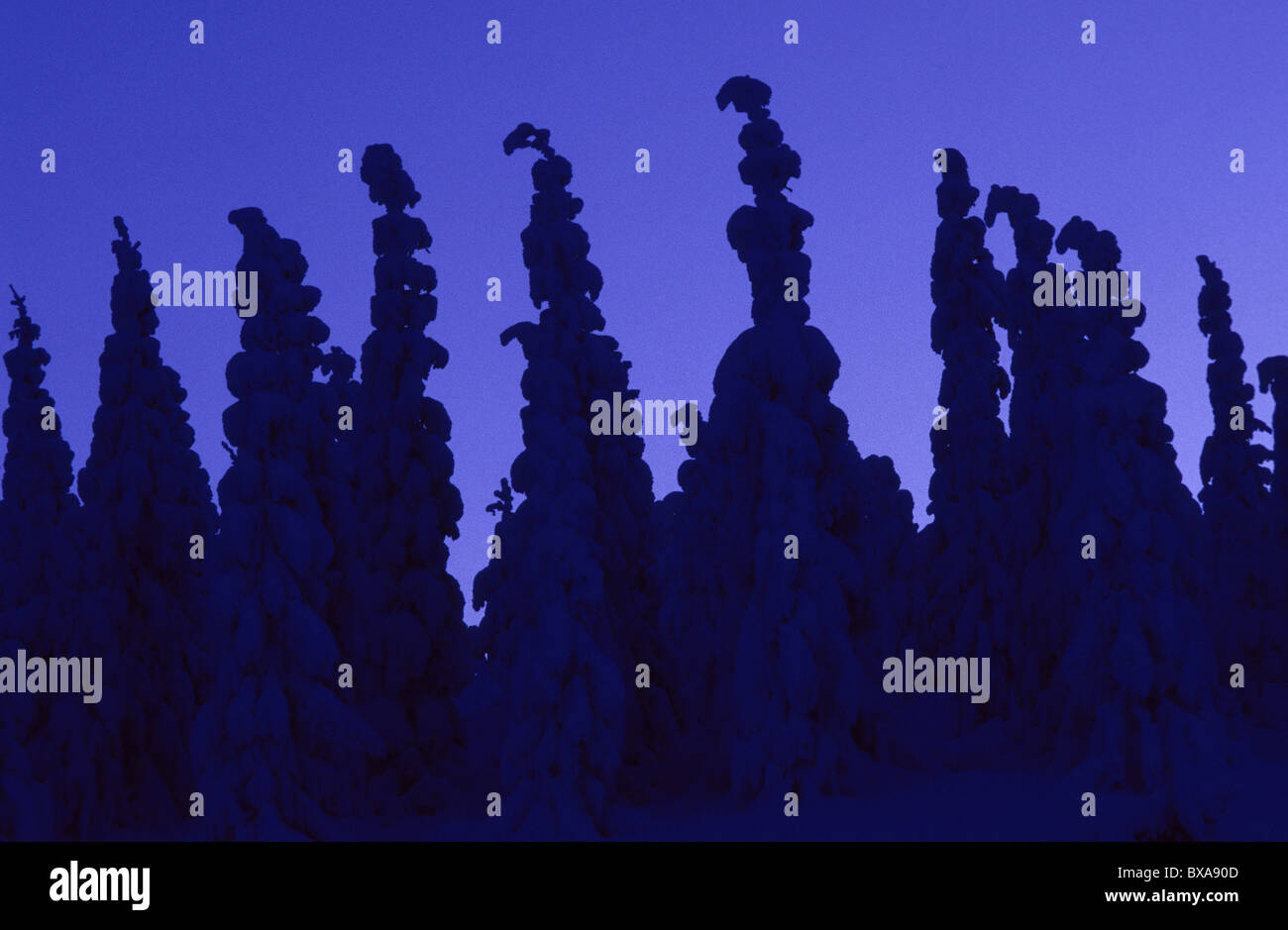 Nature, heavy snow, trees, wood, mountain, winter Stock Photo - Alamy