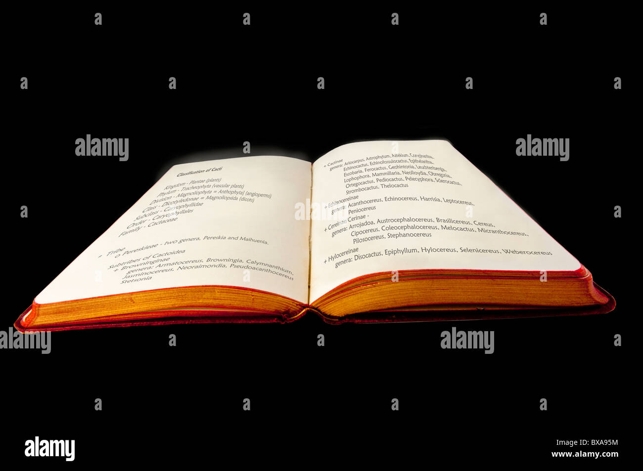 Open book red cover hi-res stock photography and images - Alamy