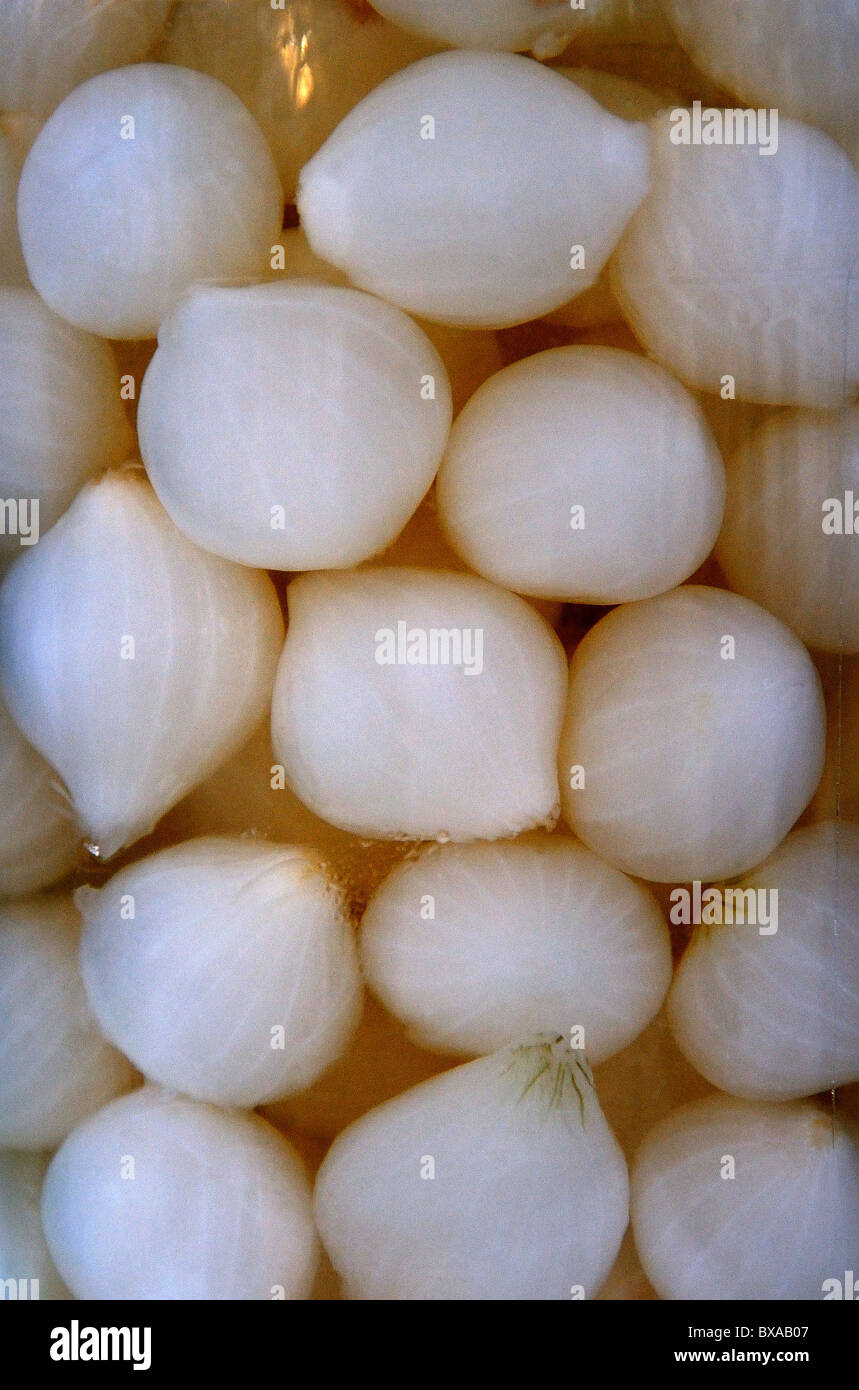 Silverskin hi-res stock photography and images - Alamy