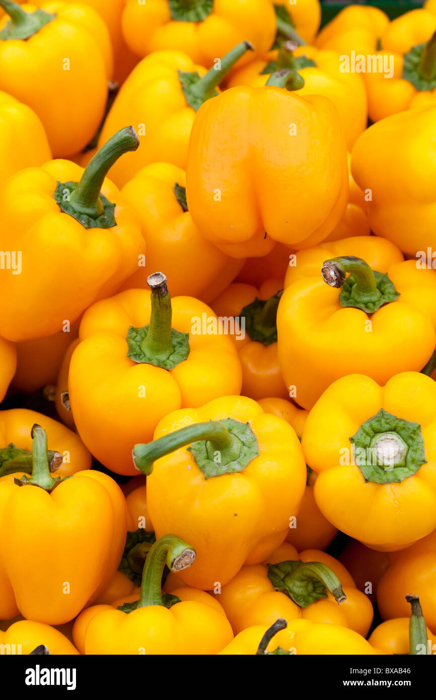 A display of yellow peppers for sale on a market stall, Kingston ...