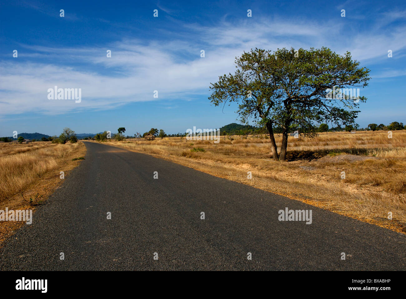 Lonely Road to Don Khong Island Stock Photo - Alamy