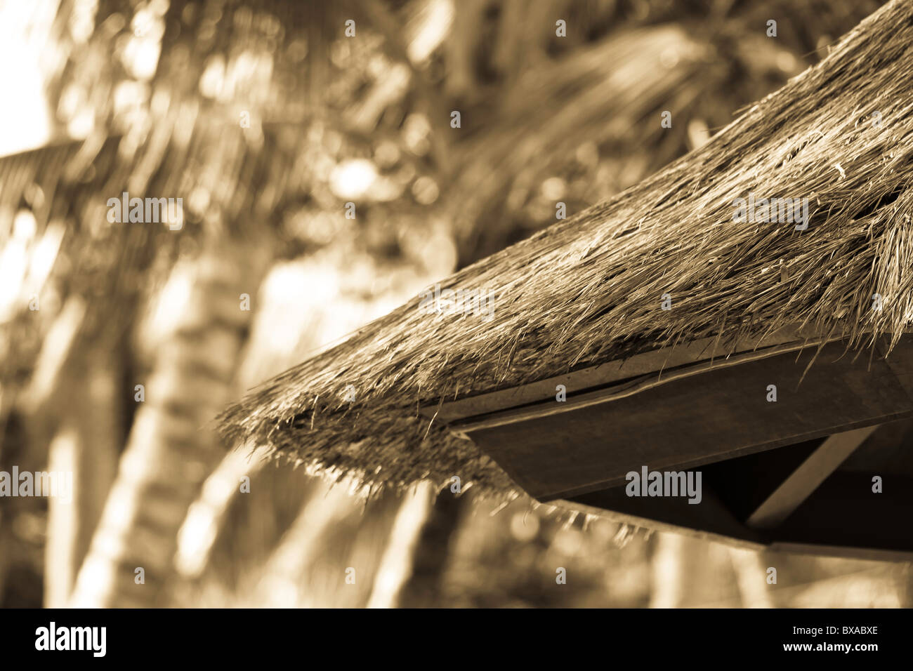 Black and white corner of thatch roof Stock Photo - Alamy