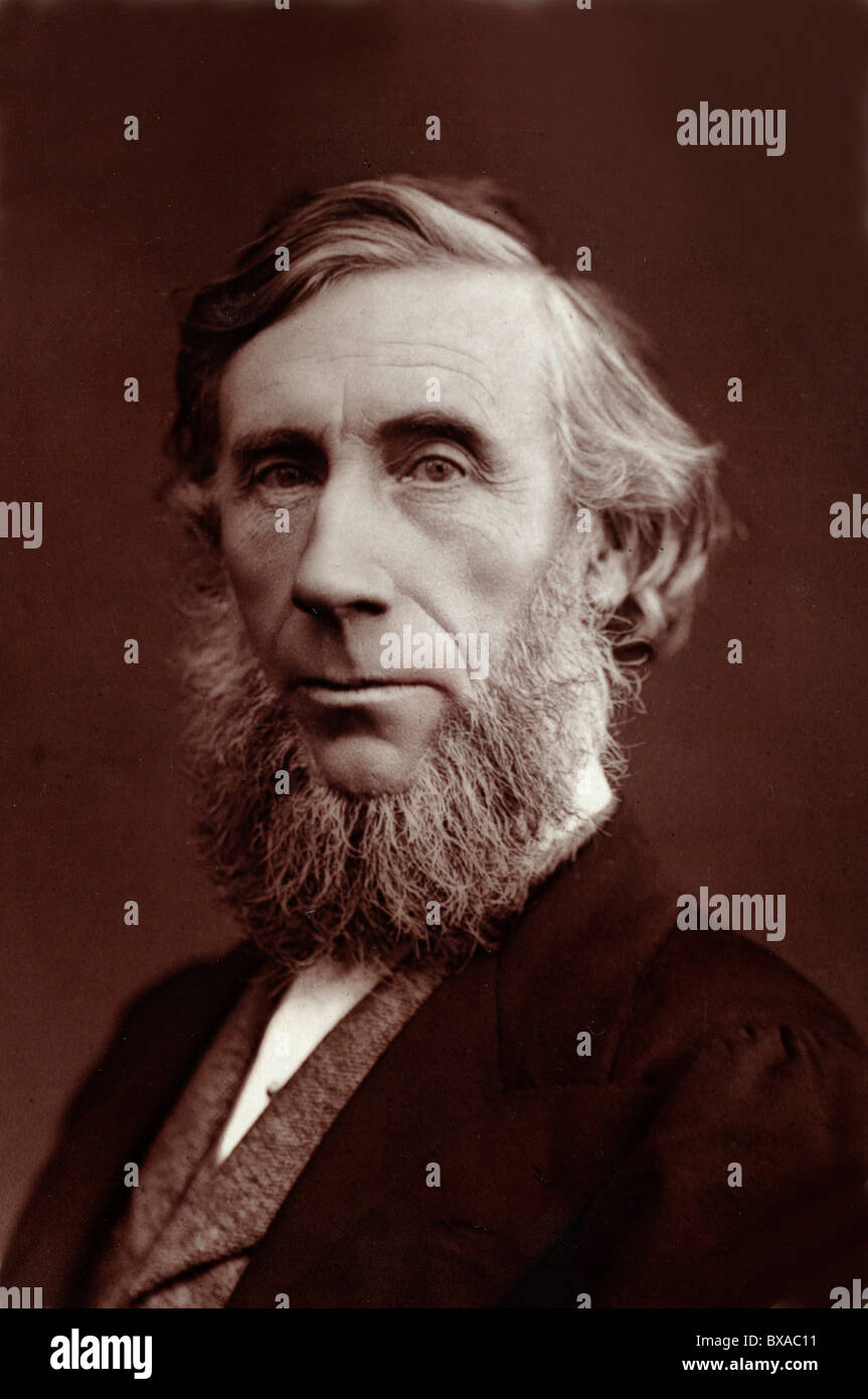 Portrait of John Tyndall (1820-1893) Irish Physicist. Albumen Print or ...