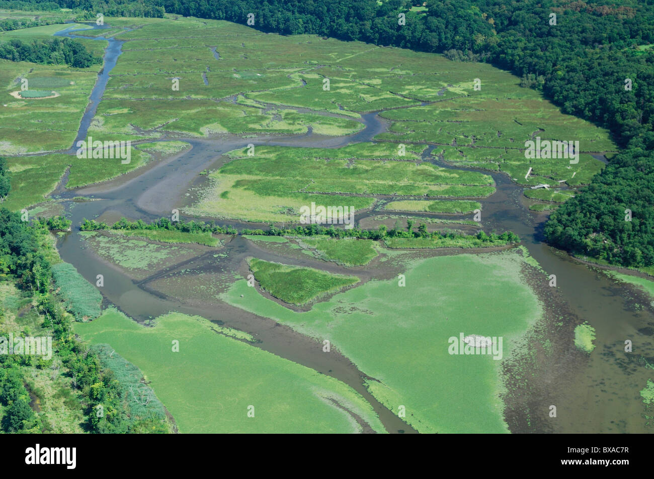 Aerial view of marsh hi-res stock photography and images - Alamy
