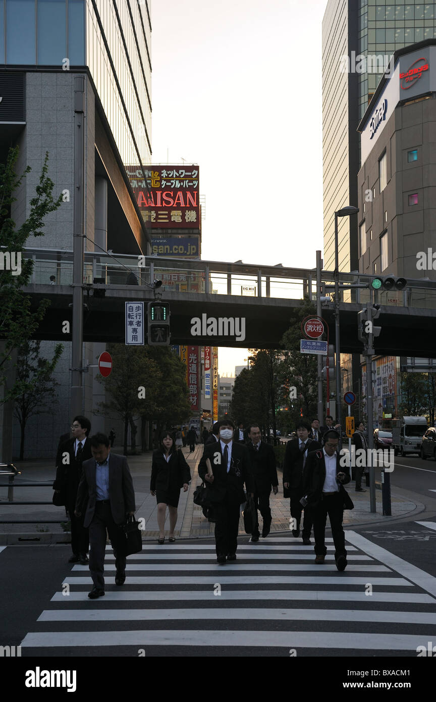 Japanese businessmen at zebra crossing in Akihabara at sunset, Tokyo ...