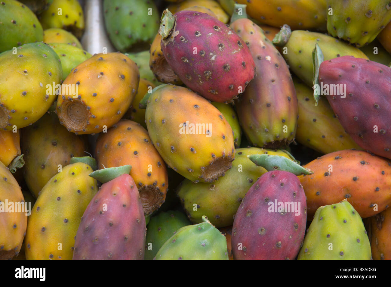 Opuntia the cactus figs at food market in Catania Sicily Italy Europe ...