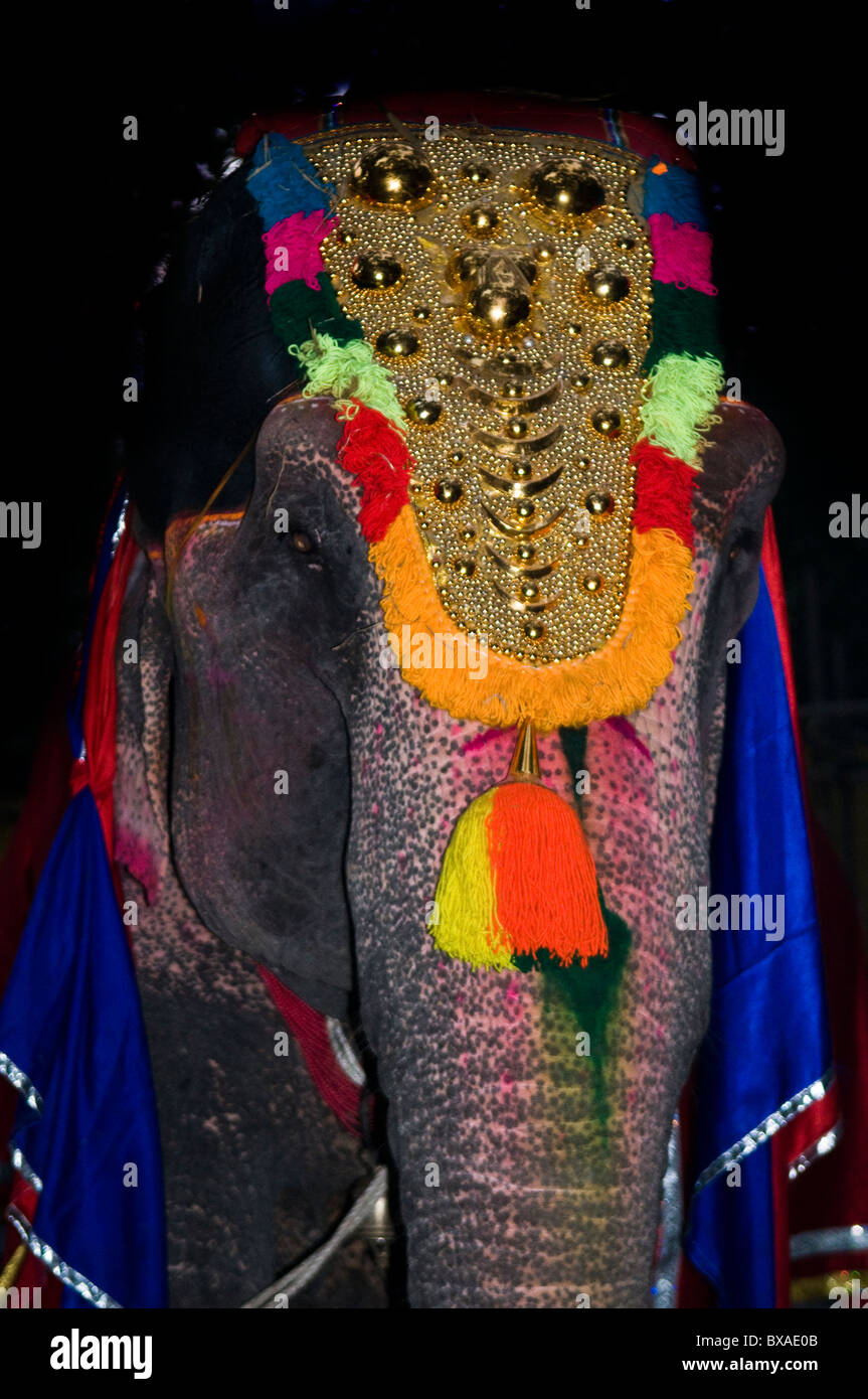 A fully decorated elephant in an Indian religious parade Stock Photo ...