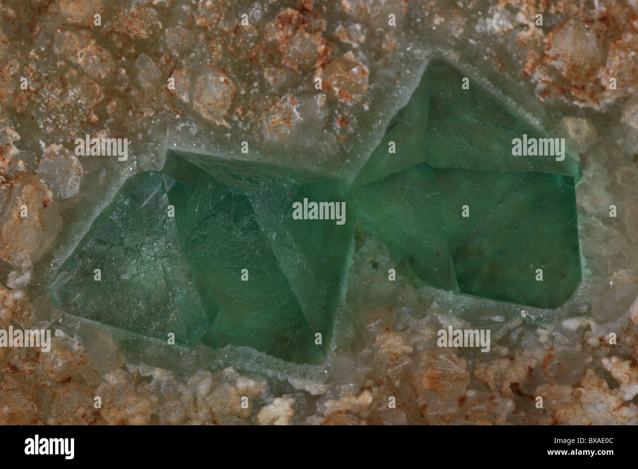 Caf2 Stock Photos & Caf2 Stock Images - Alamy