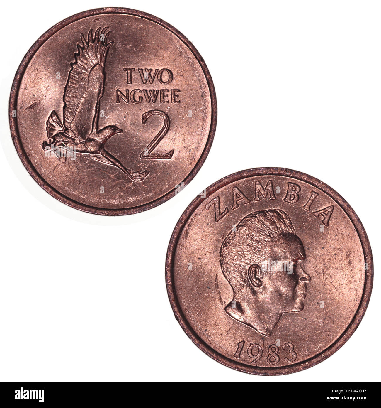 Zambian two Ngwee coin Stock Photo - Alamy