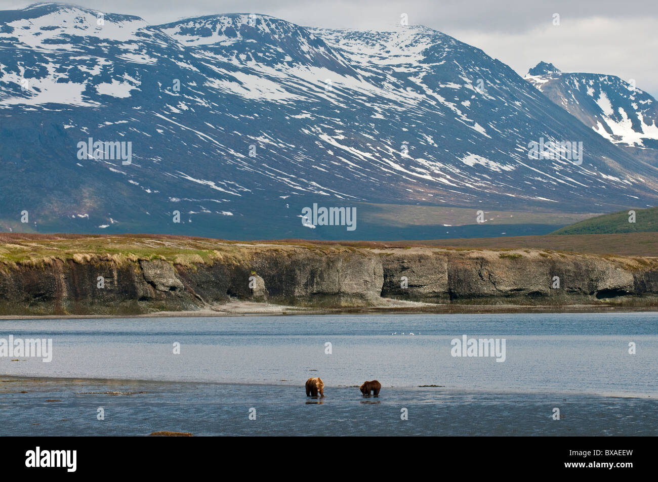 Mcneil river hi-res stock photography and images - Alamy