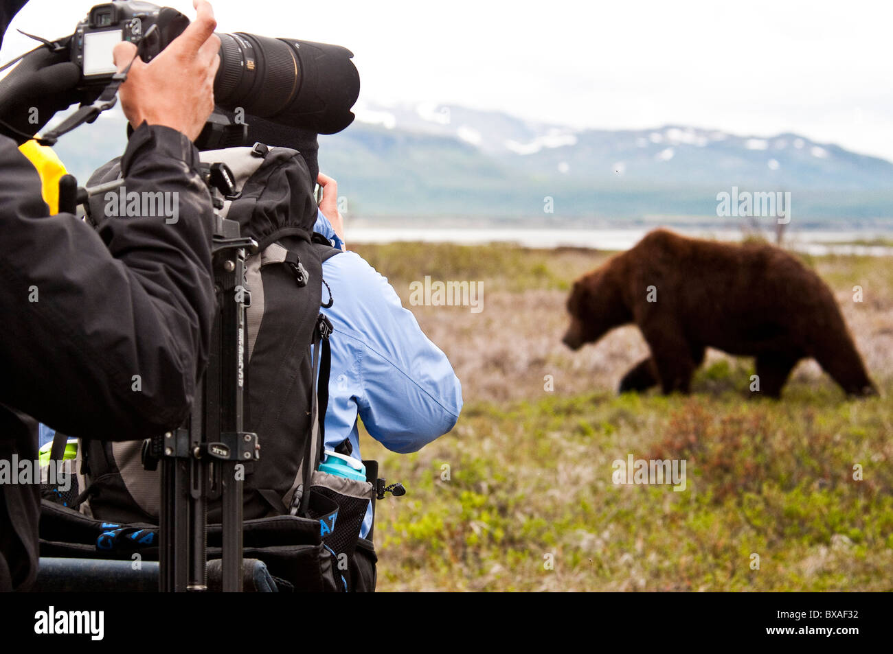 Mcneil river hi-res stock photography and images - Alamy