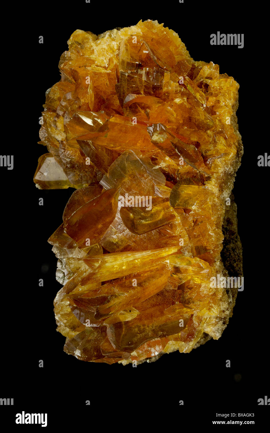 Selenite (Hydrous calcium sulfate) - Form of Gypsum - Formed in ...