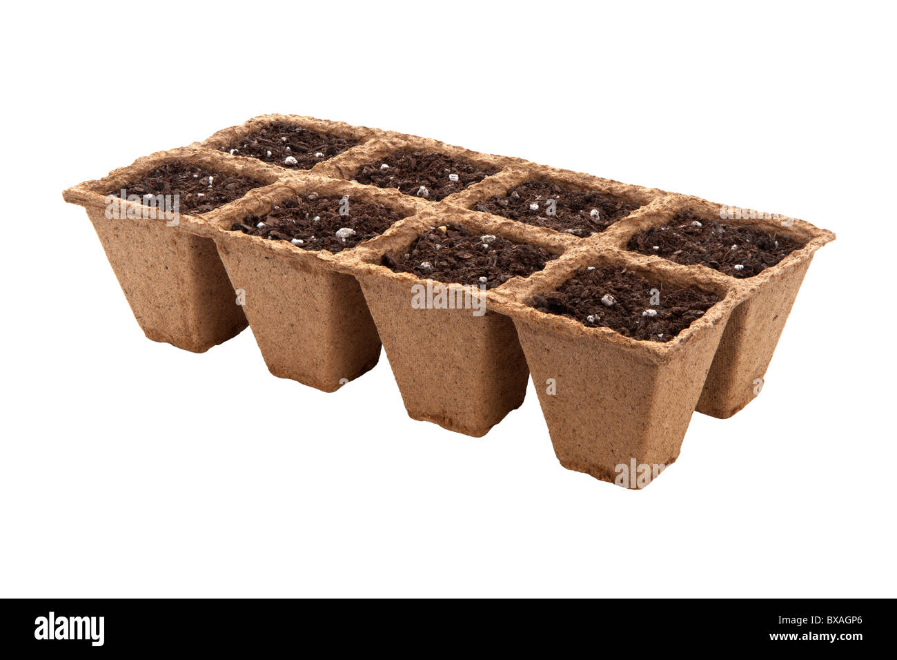 Fiber Seed Starting Cell isolated on a white background Stock Photo - Alamy