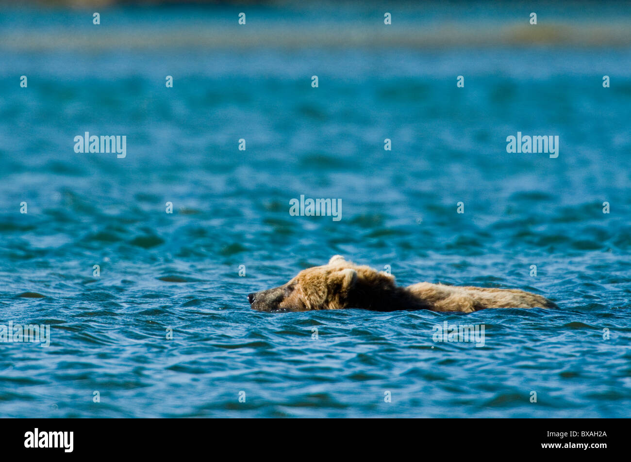 Mcneil river hi-res stock photography and images - Alamy