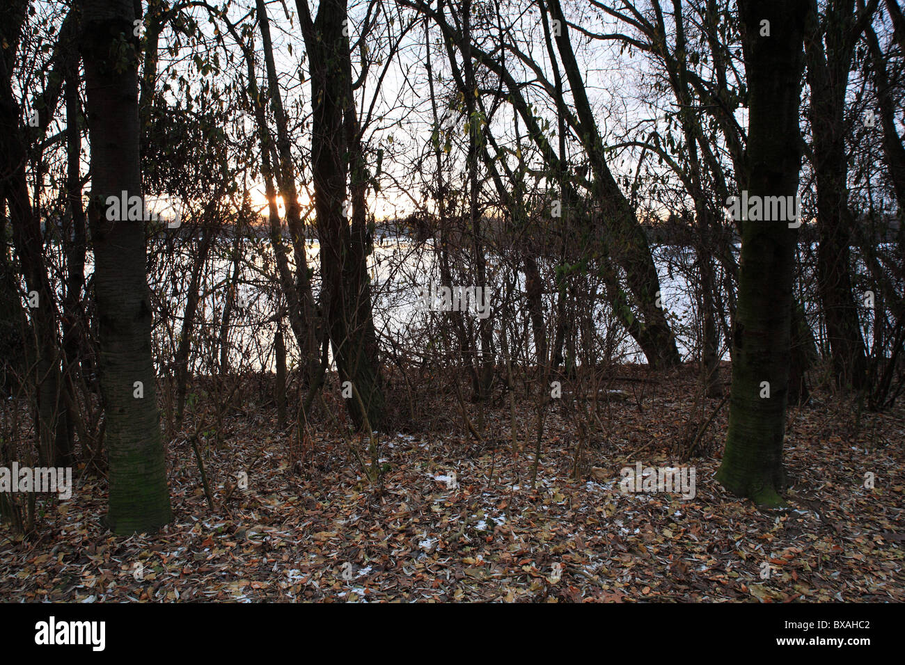 Winter Parkland Scenes Nottingham England Stock Photo - Alamy