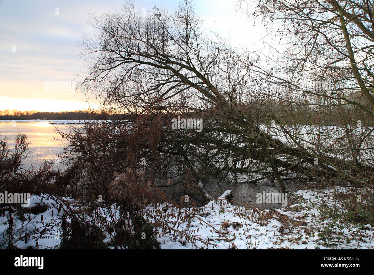 Nottingham colwick country park winter hi-res stock photography and ...