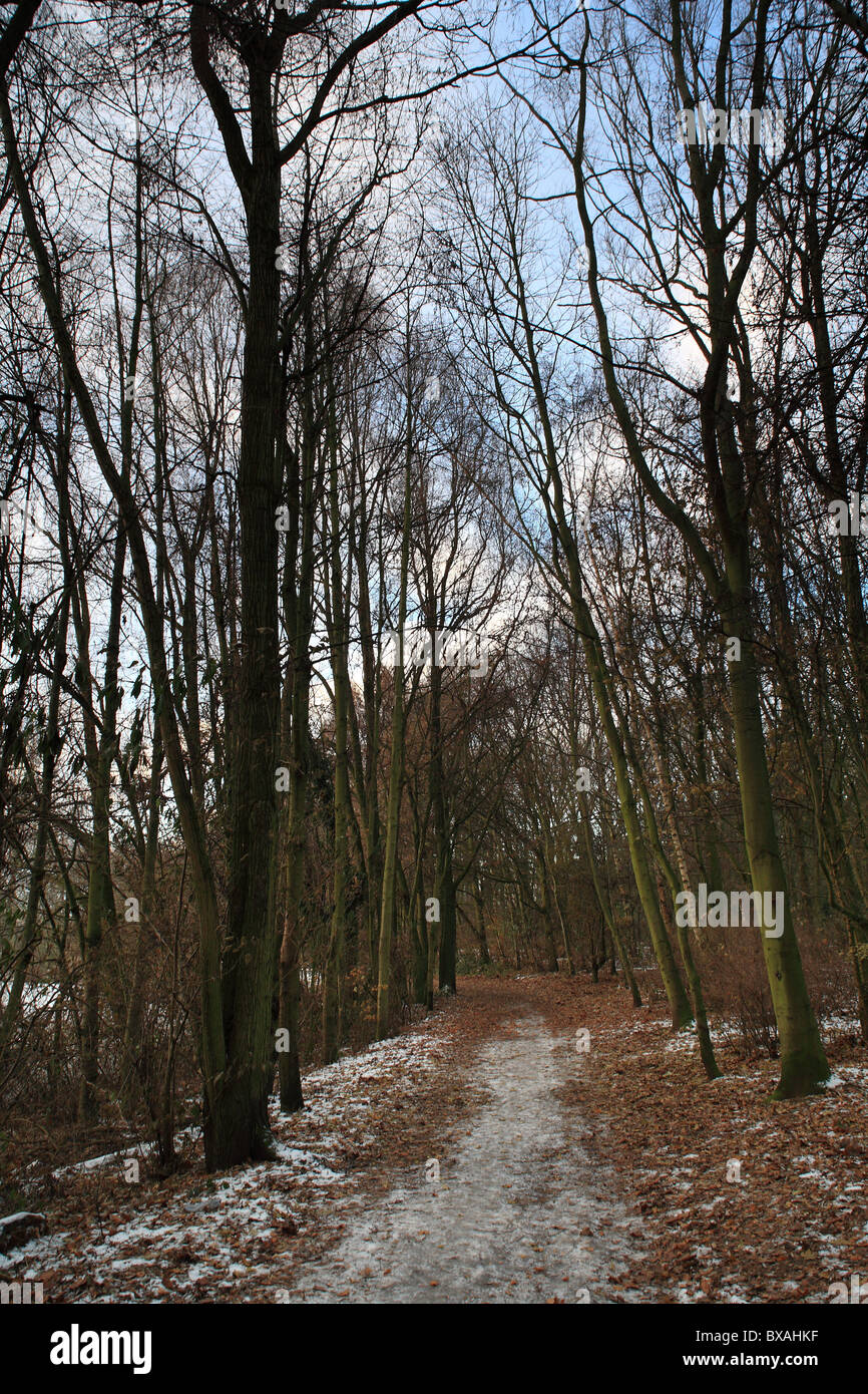 Winter Parkland Scenes Nottingham England Stock Photo - Alamy