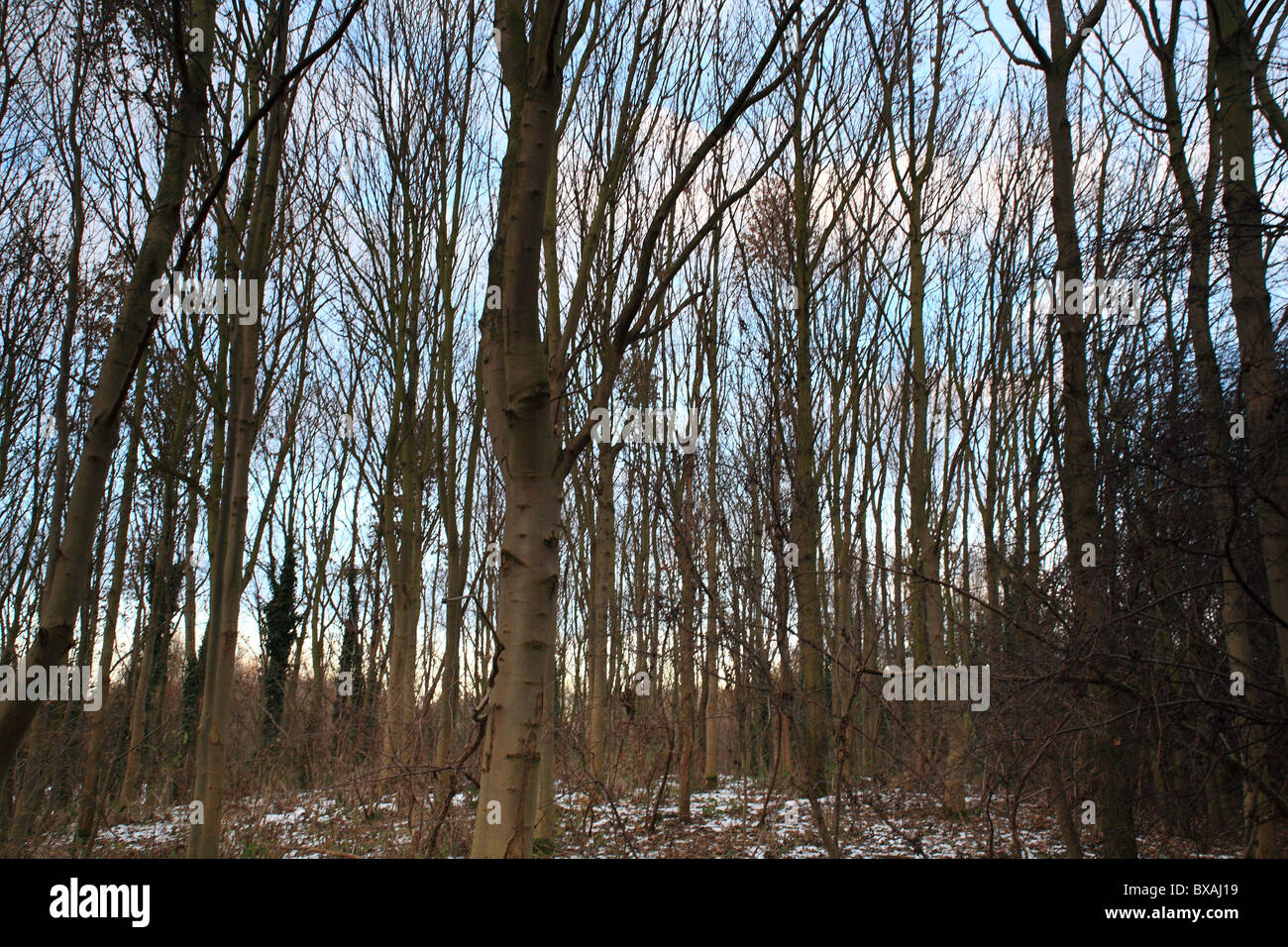 Colwick country park nottingham hi-res stock photography and images - Alamy