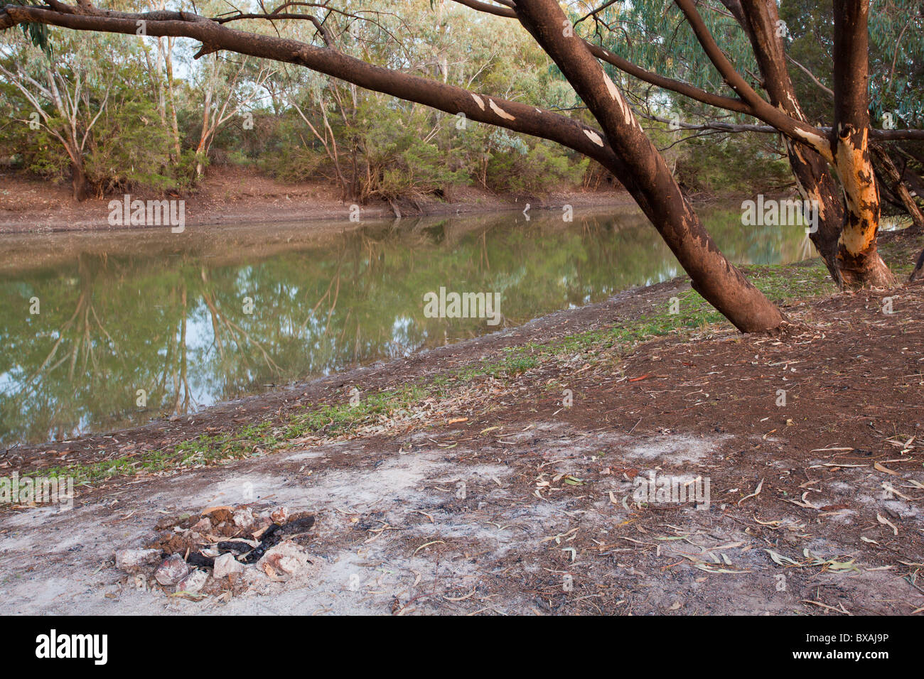 Riverside campsite on the Barcoo River at Isisford, Longreach ...