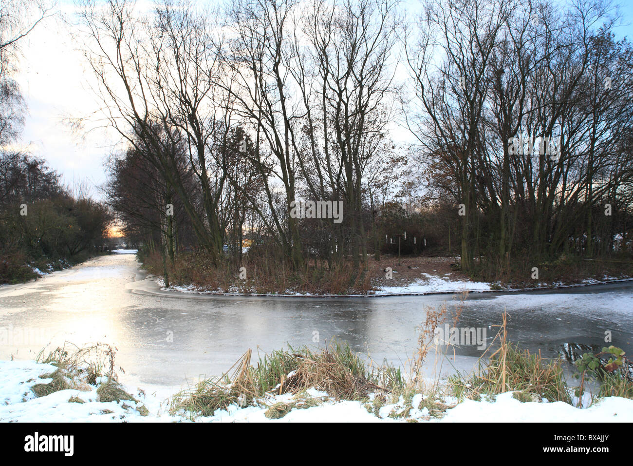 Winter Parkland Scenes Nottingham England Stock Photo - Alamy