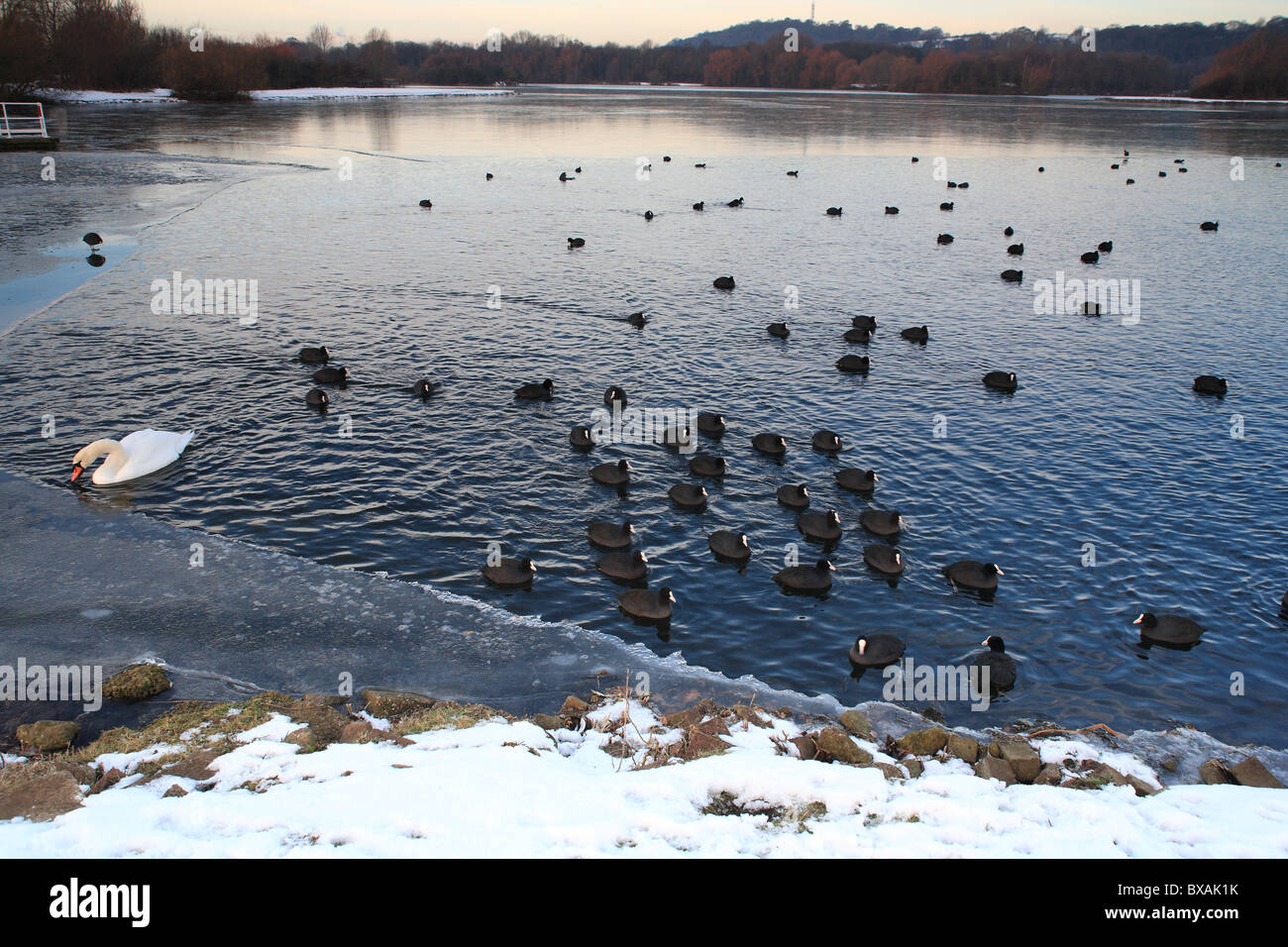 Nottingham colwick country park winter hi-res stock photography and ...