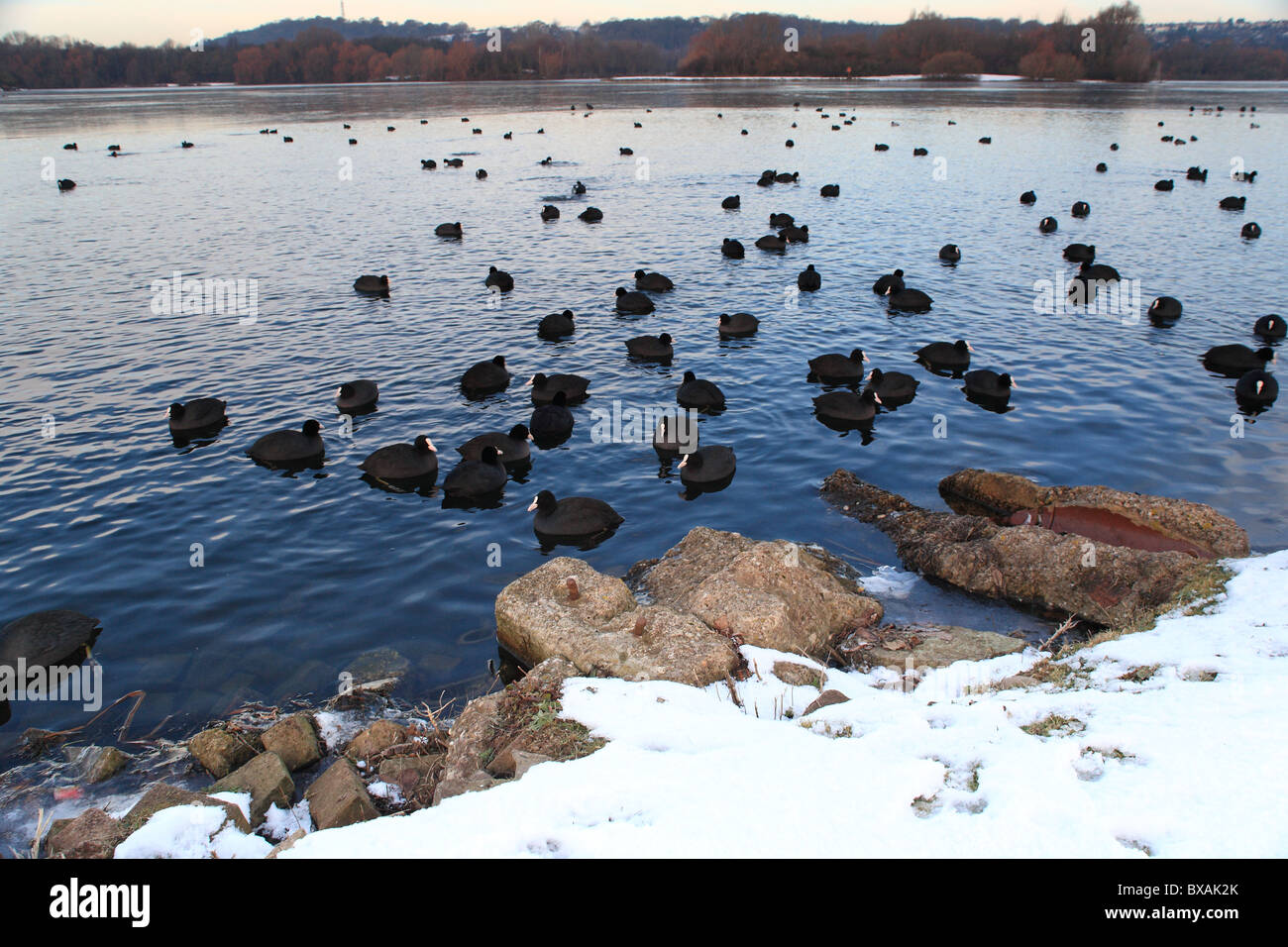 Nottingham colwick country park winter hi-res stock photography and ...