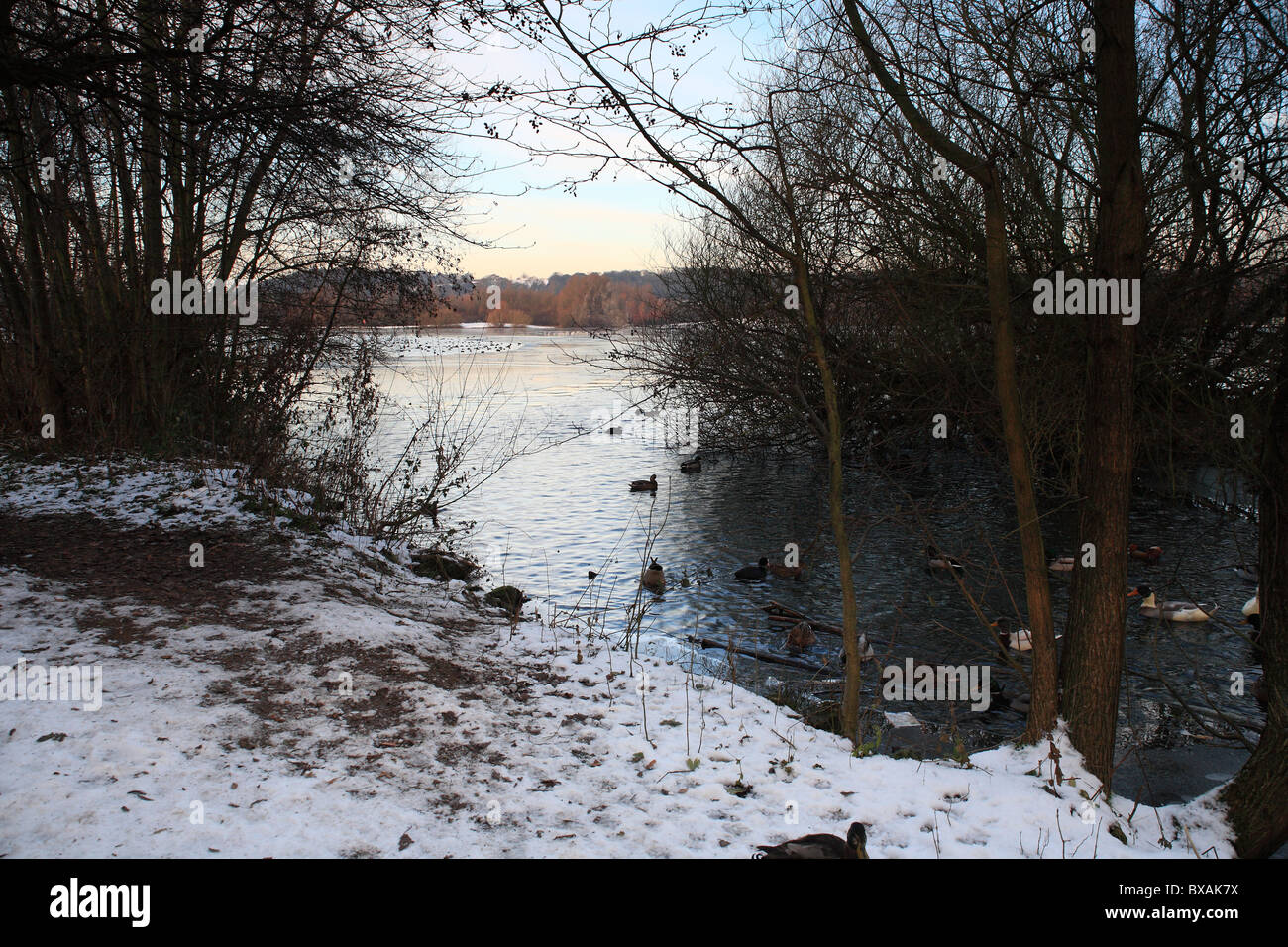 Winter Parkland Scenes Nottingham England Stock Photo - Alamy