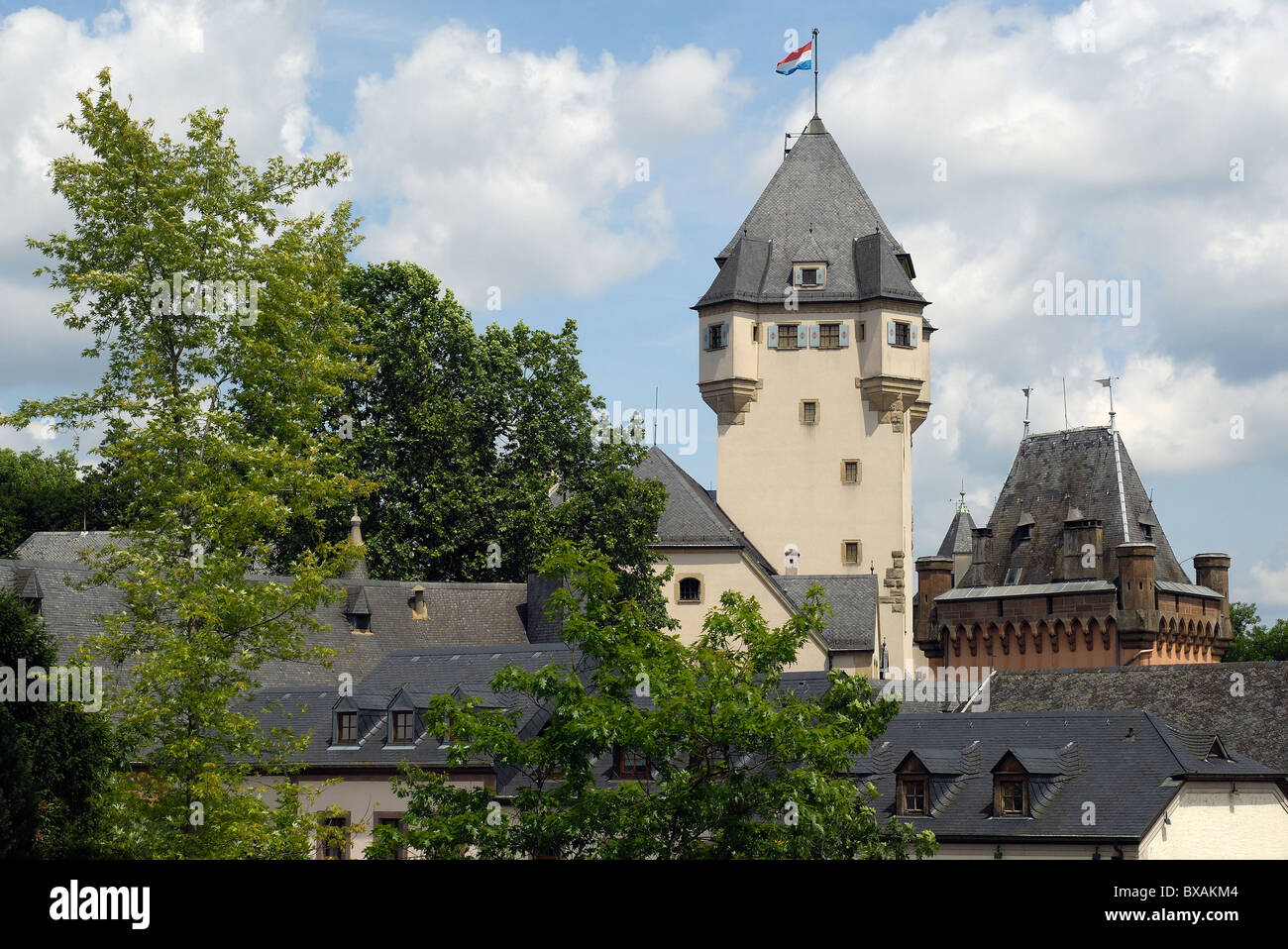 Berg Castle, the residence of the Grand Duke of Luxembourg, Colmar-Berg ...