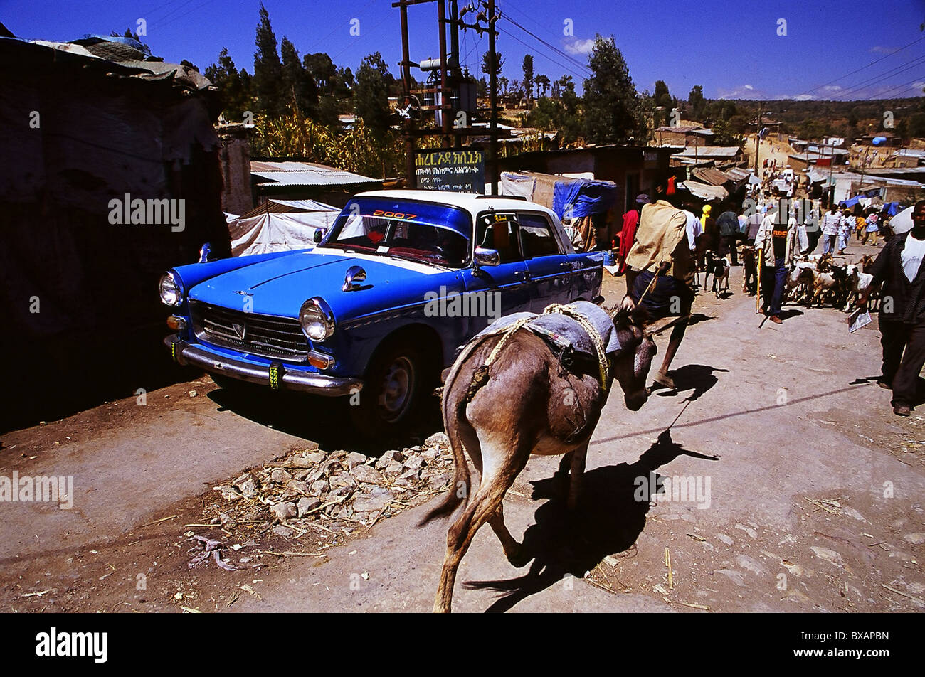 Donkeys in the streets hi-res stock photography and images - Alamy
