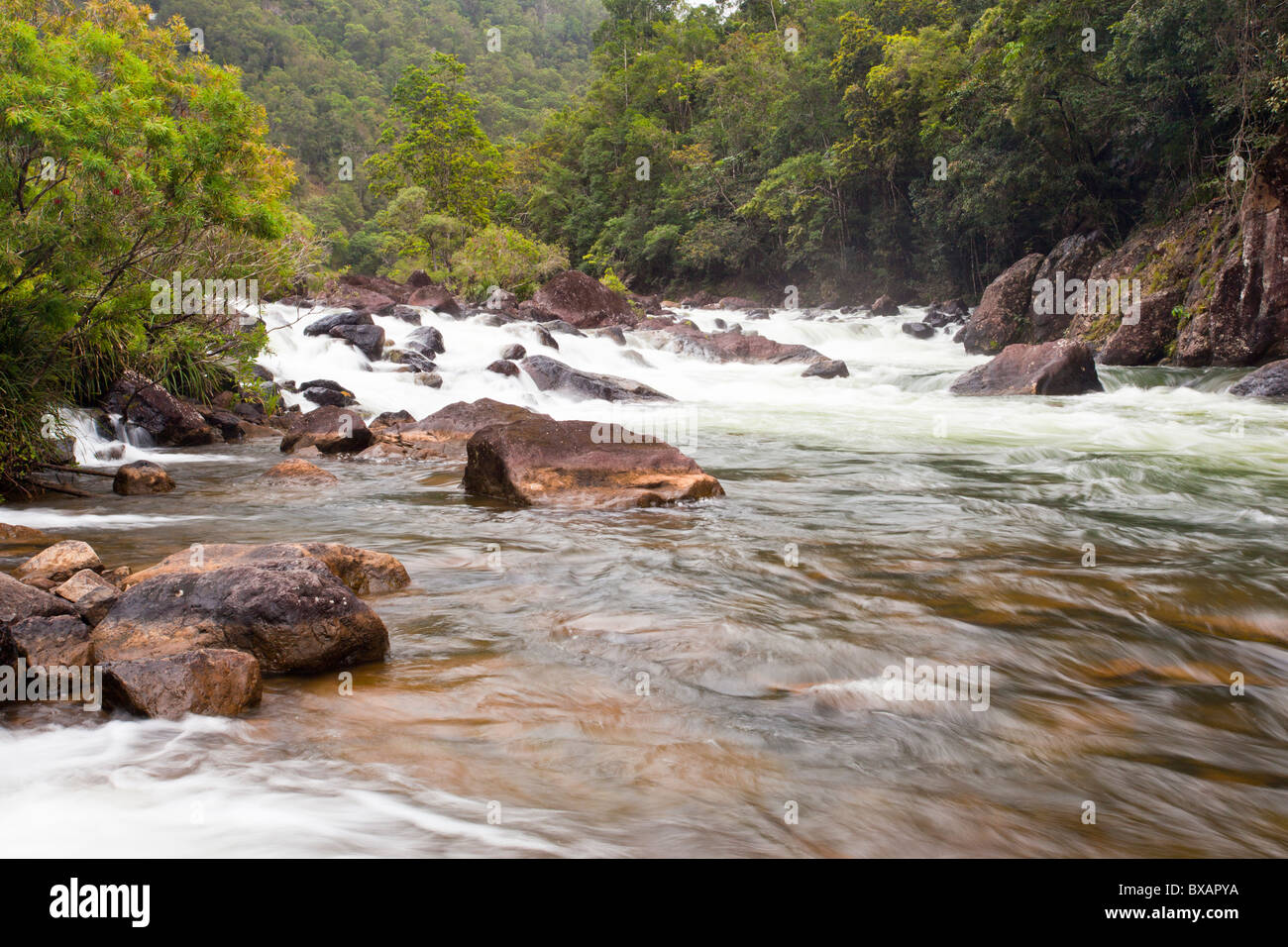 White water on the Tully River, Tully, Far North Queensland Stock Photo ...