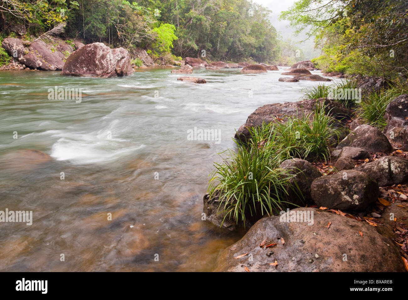 White water on the Tully River, Tully, Far North Queensland Stock Photo ...