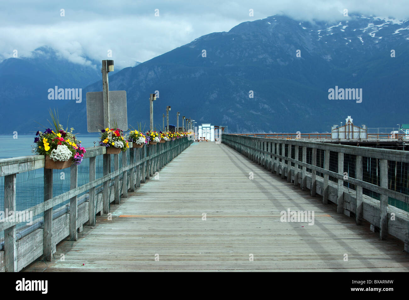 An empty wooden pier, wharf, with flowers, and mountain in background ...