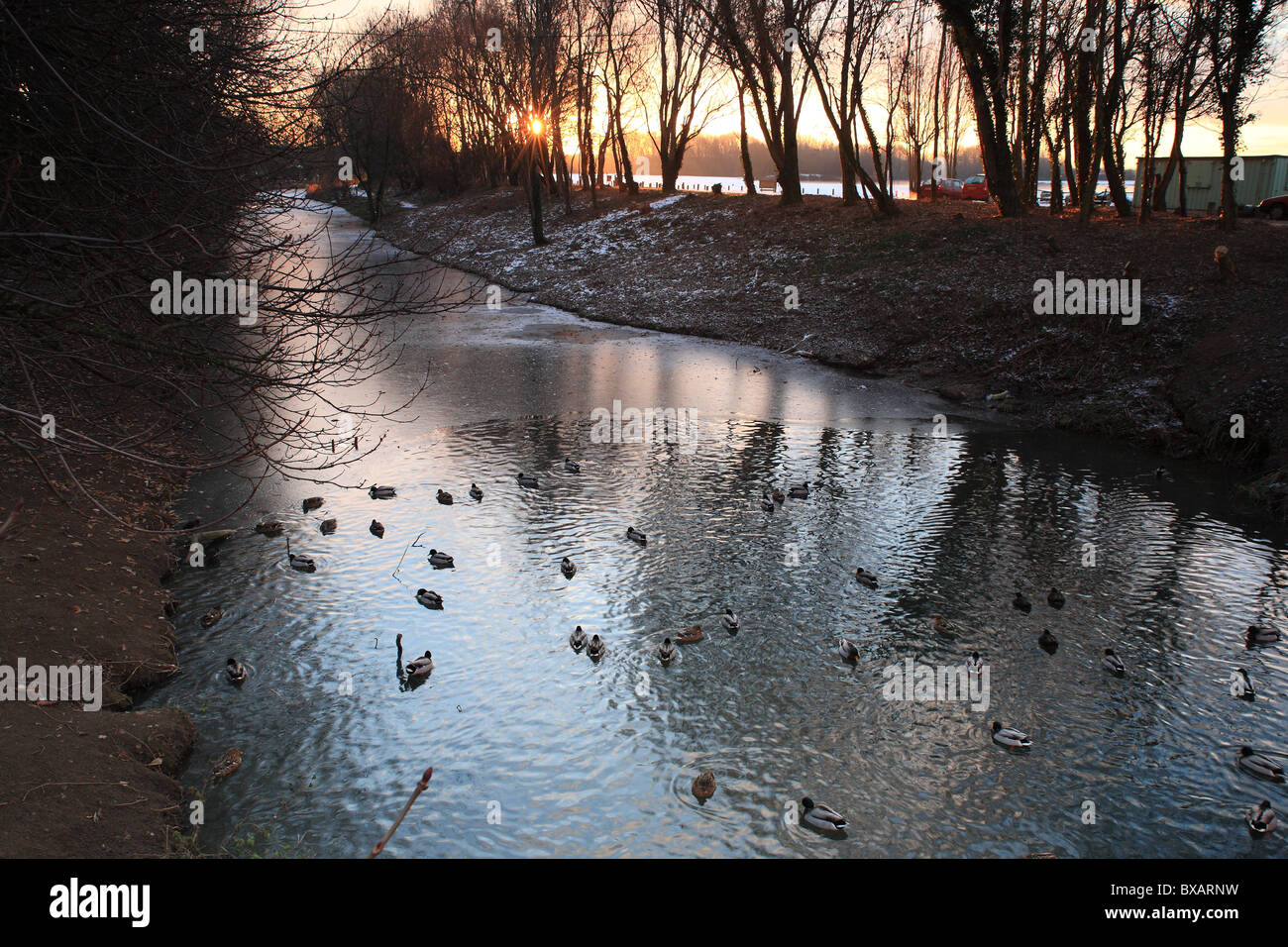 Winter Parkland Scenes Nottingham England Stock Photo - Alamy
