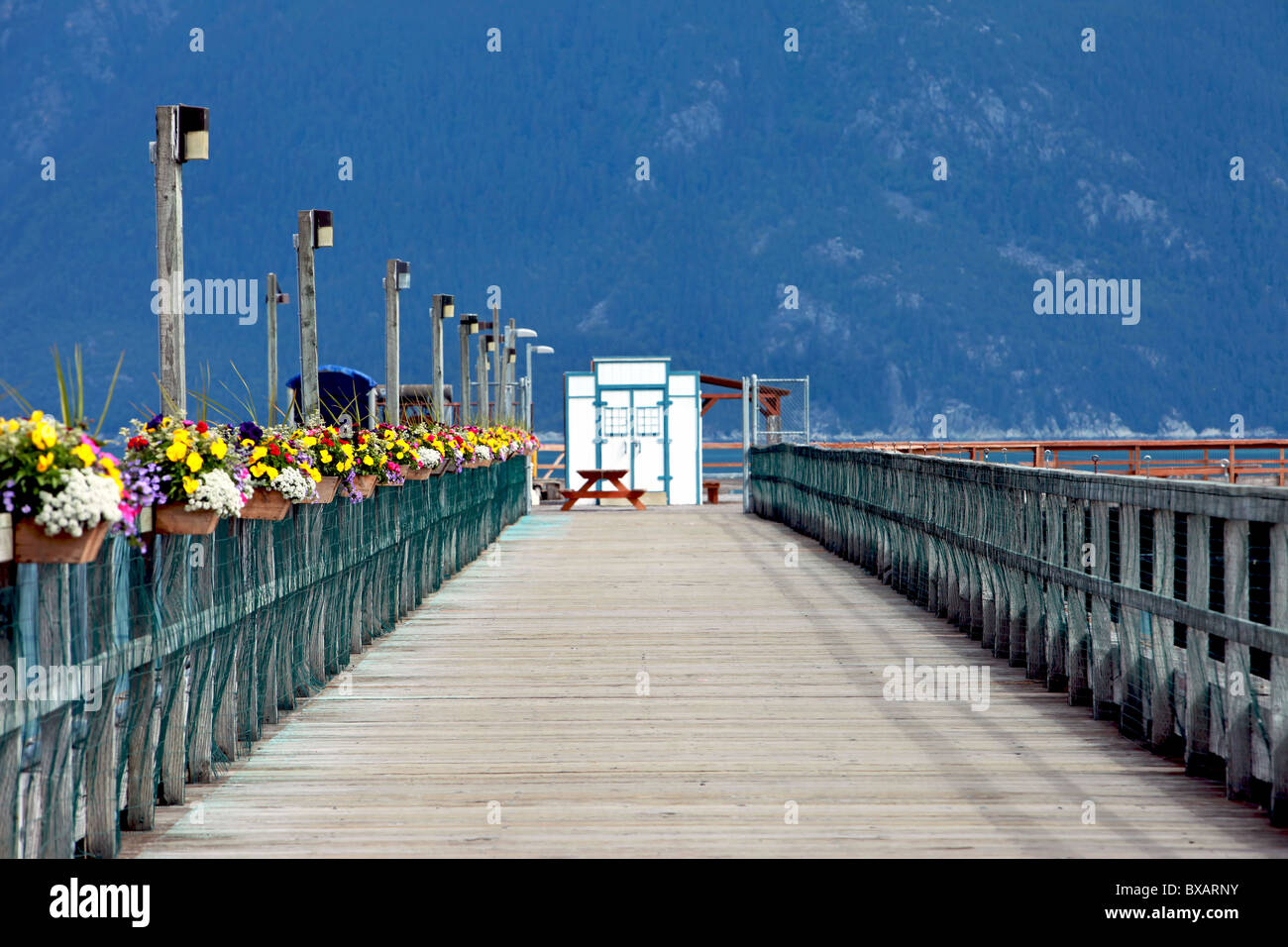 An empty wooden pier, wharf, with flowers, and mountain in background ...