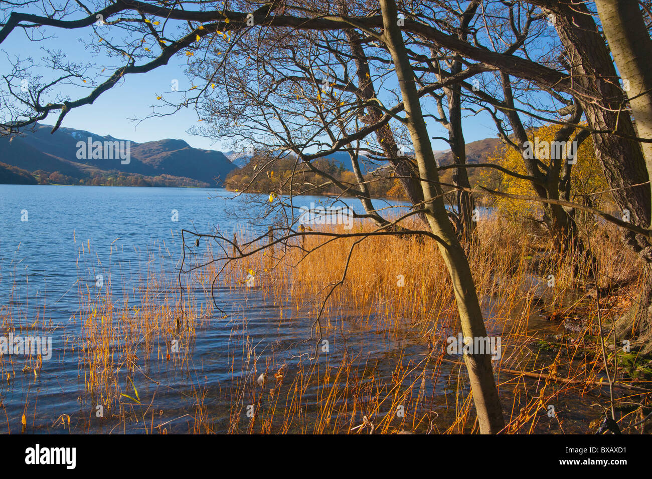 Looking across Ullswater from near Watermillock, Lake district, Cumbria ...