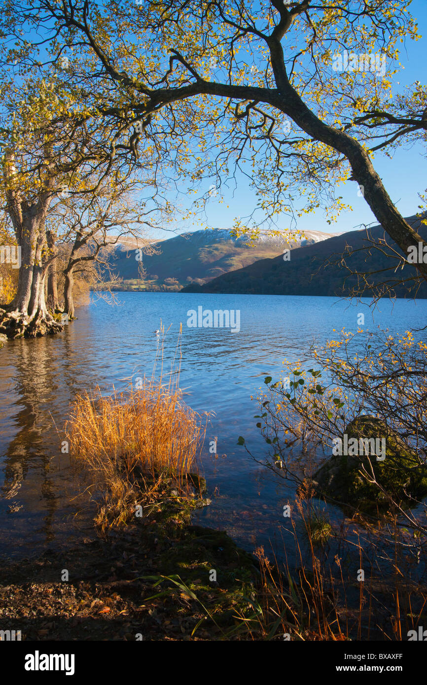 Looking across Ullswater from near Watermillock, Lake district, Cumbria ...