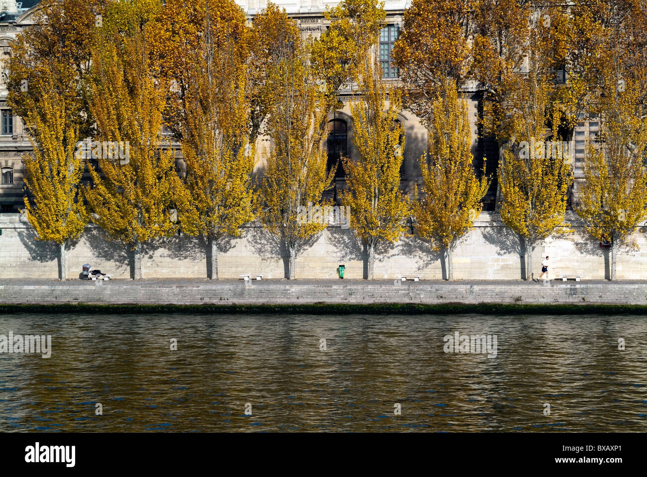 Vibrant coloured trees line the Seine during Autumn, Paris, France ...
