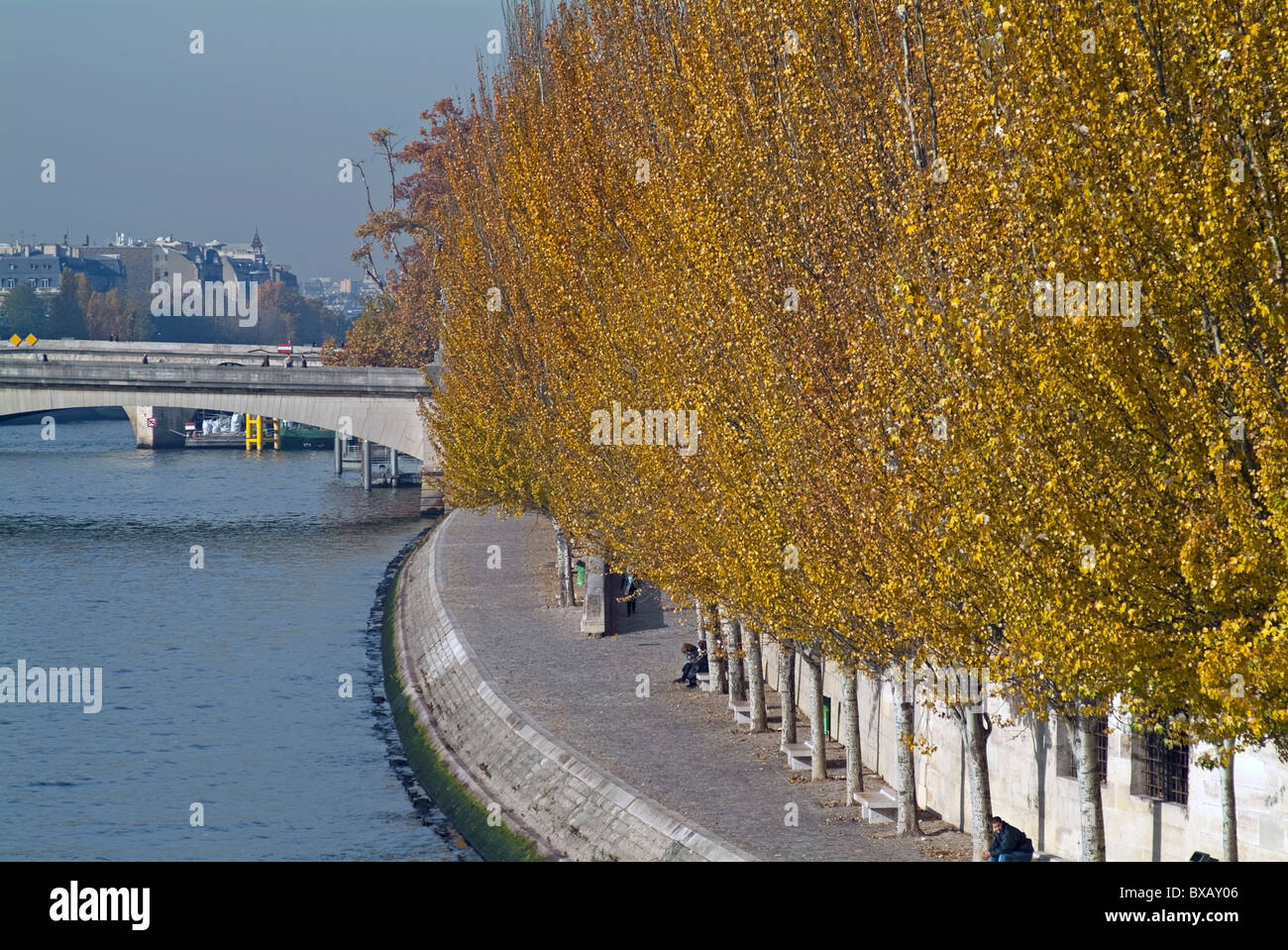 Vibrant coloured trees line the Seine during Autumn, Paris, France ...