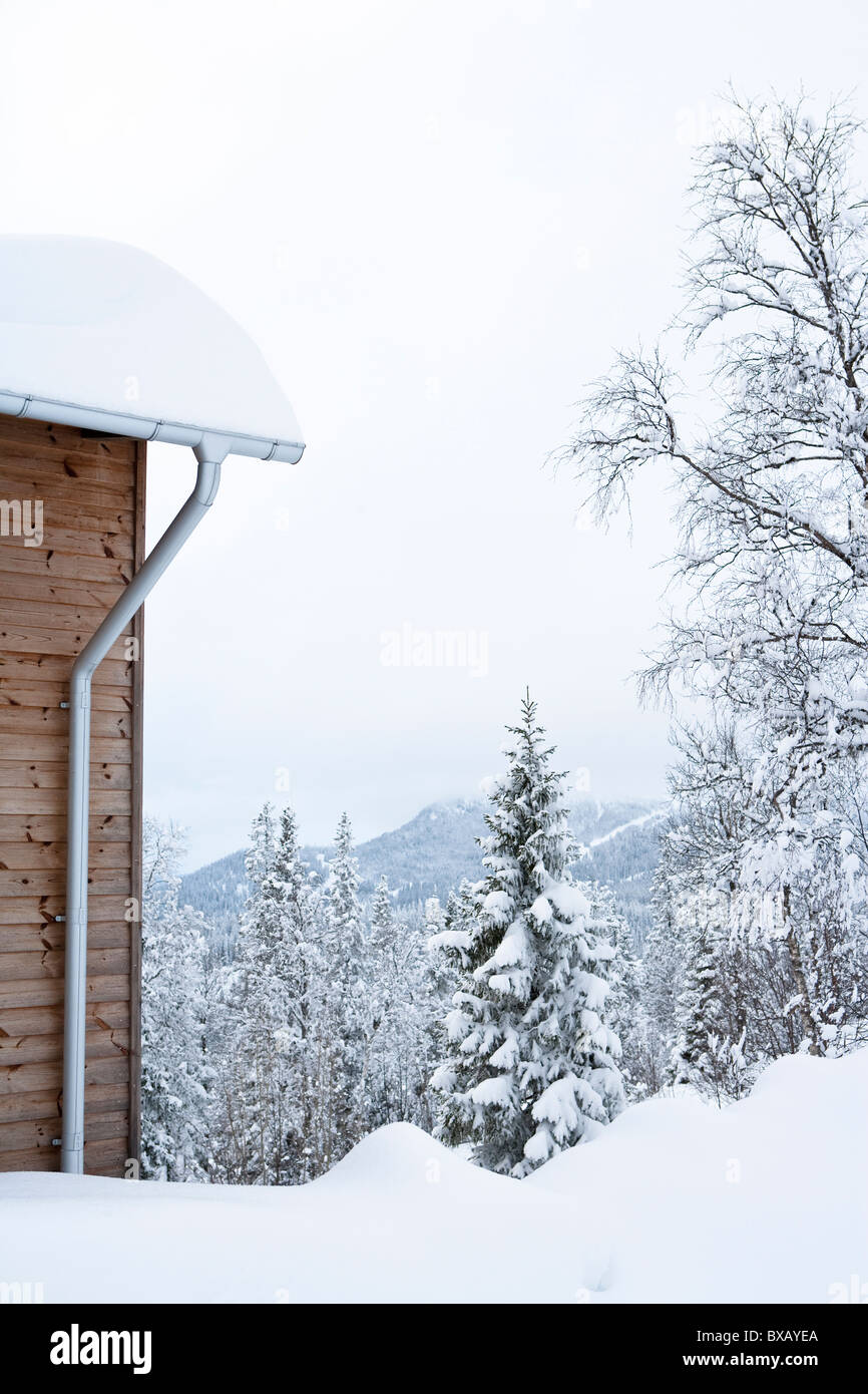 Mountain hut near forest in winter Stock Photo - Alamy
